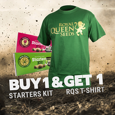 Starters Kit Autoflowering - Royal Queen Seeds Kannabiksen Siemenet